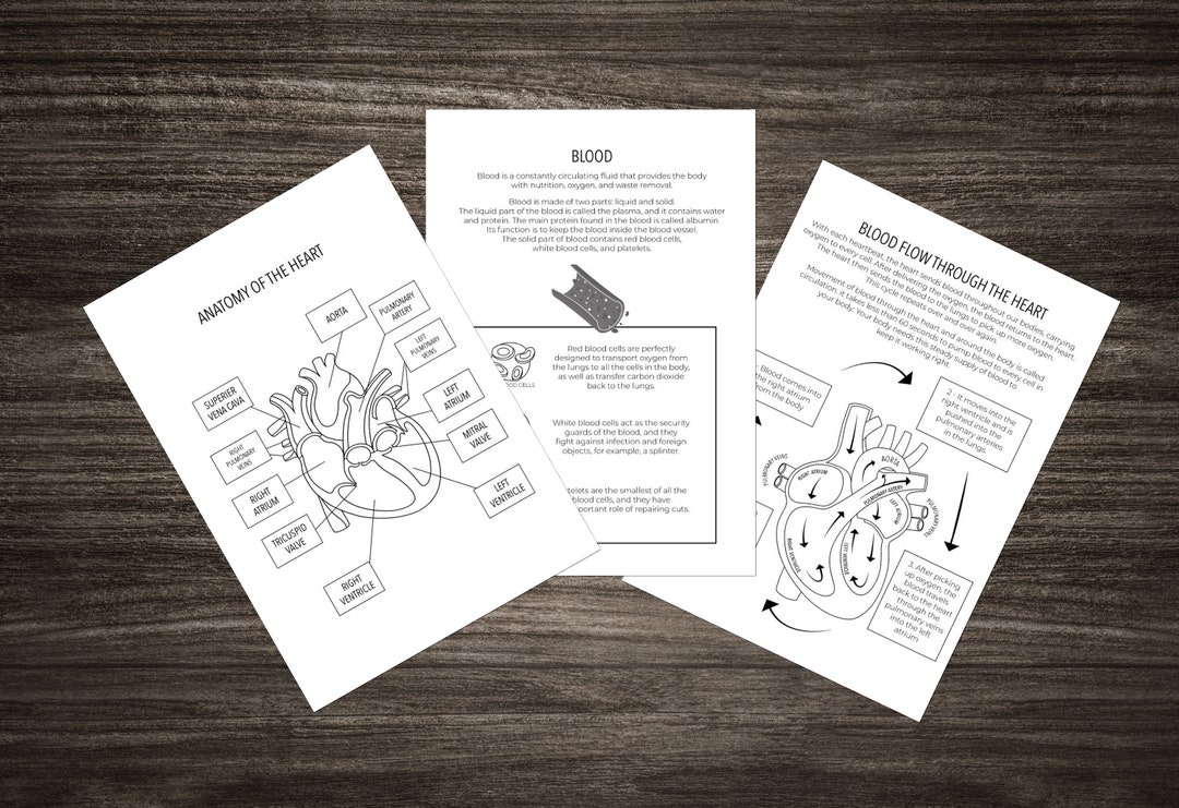 Heart Circulatory System Unit Study Pack - Biology - Science - Digital ...