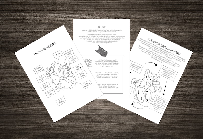 Heart Circulatory System Unit Study Pack - Biology - Science - Digital ...
