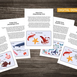 Oceans Zones Learning Pack Educational Learning Geography Biology ...