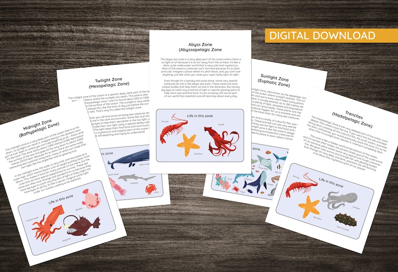 Ocean Zones Learning Pack: Educational Geography & Biology (digital ...