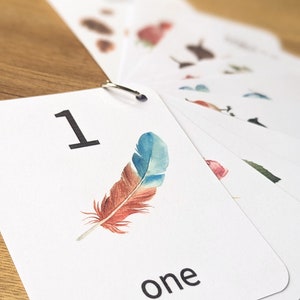 1-10 Nature Counting Activity Flash Cards & Poster - Educational Tool ...