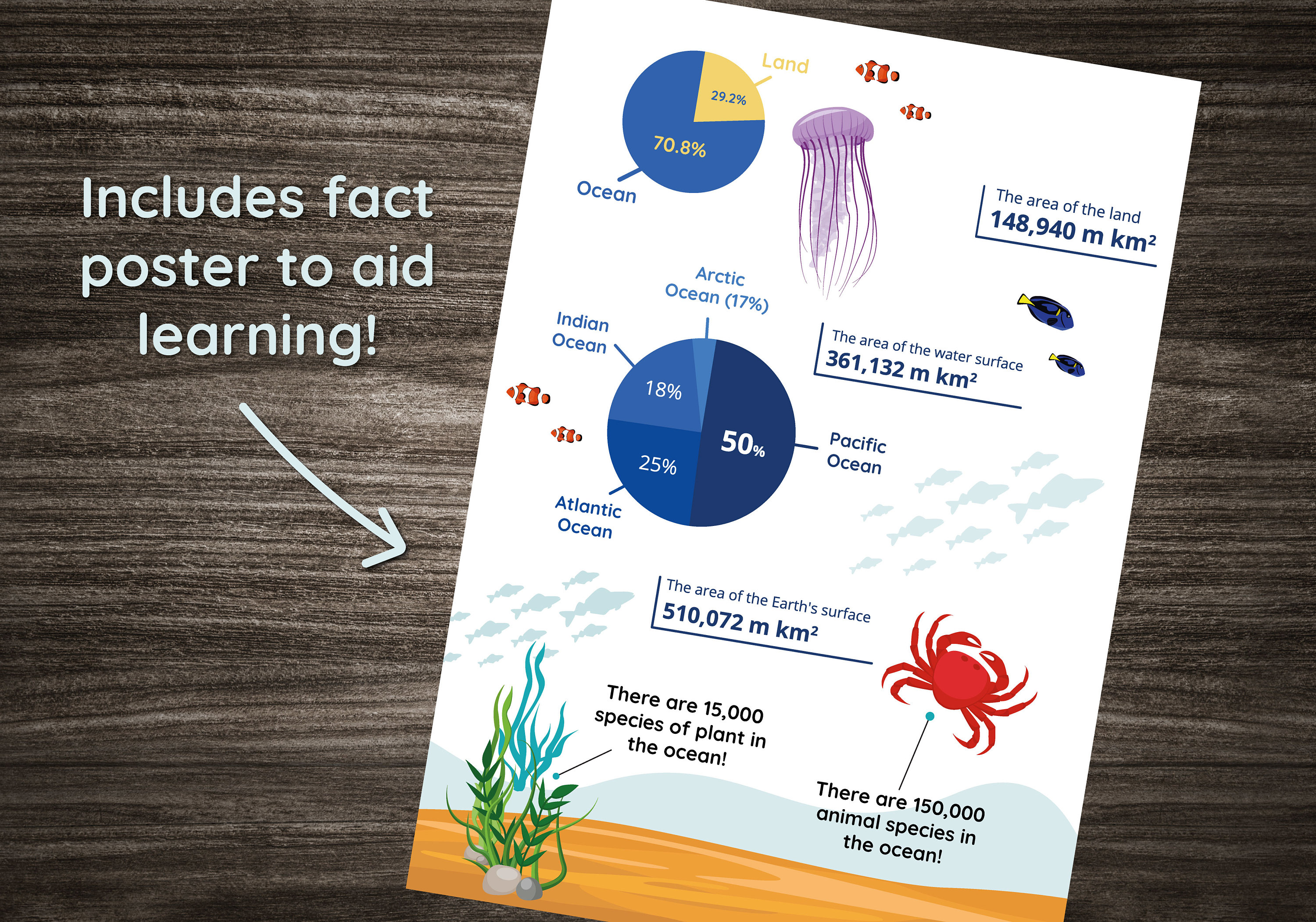 Oceans Unit Study Pack - Childrens Educational Learning Geography ...