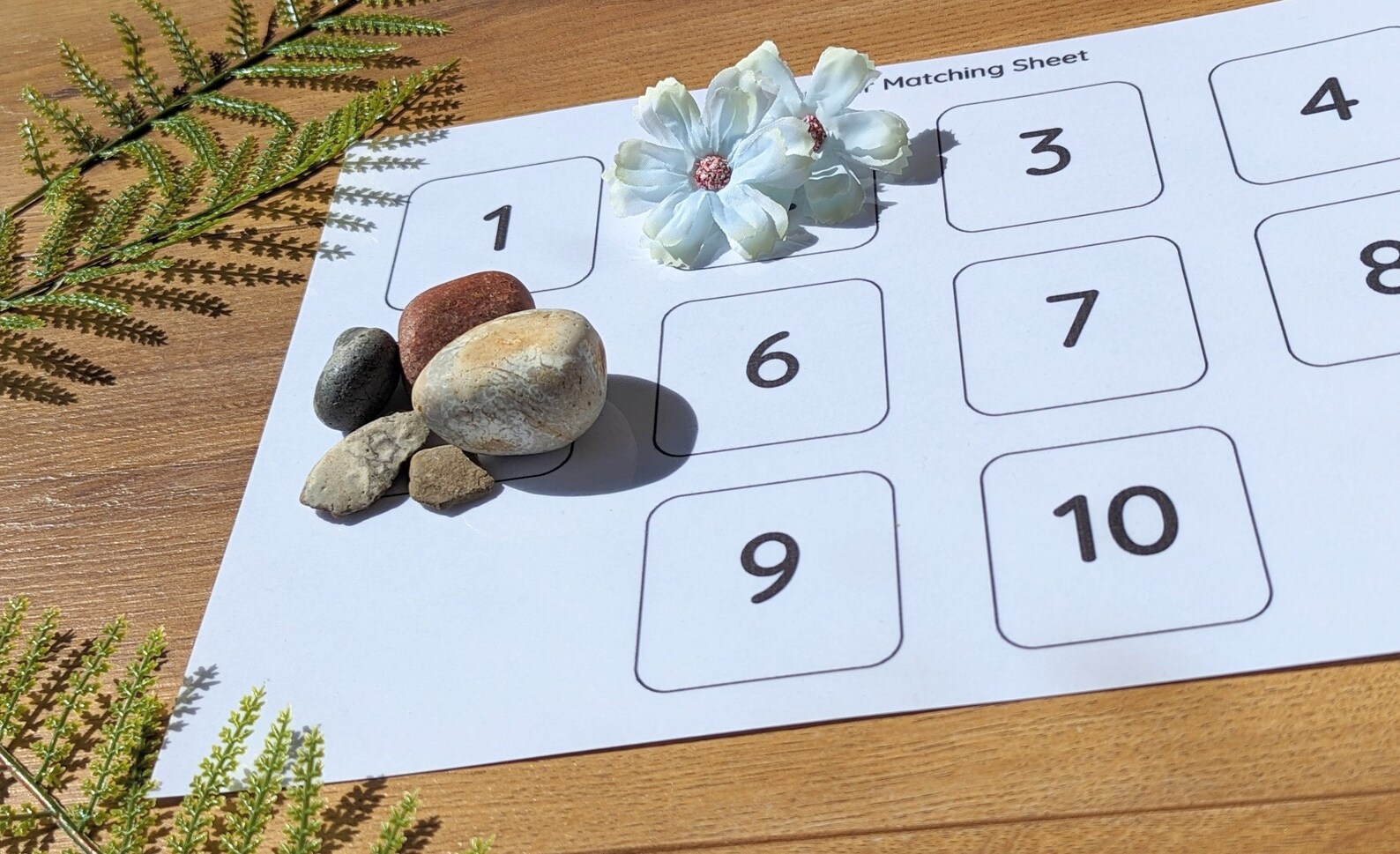 Nature Counting Activity Educational Learning Game Sheet- Instant ...