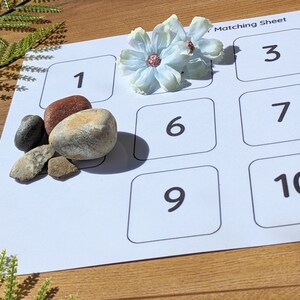 Nature Counting Activity Educational Learning Game Sheet- Instant ...