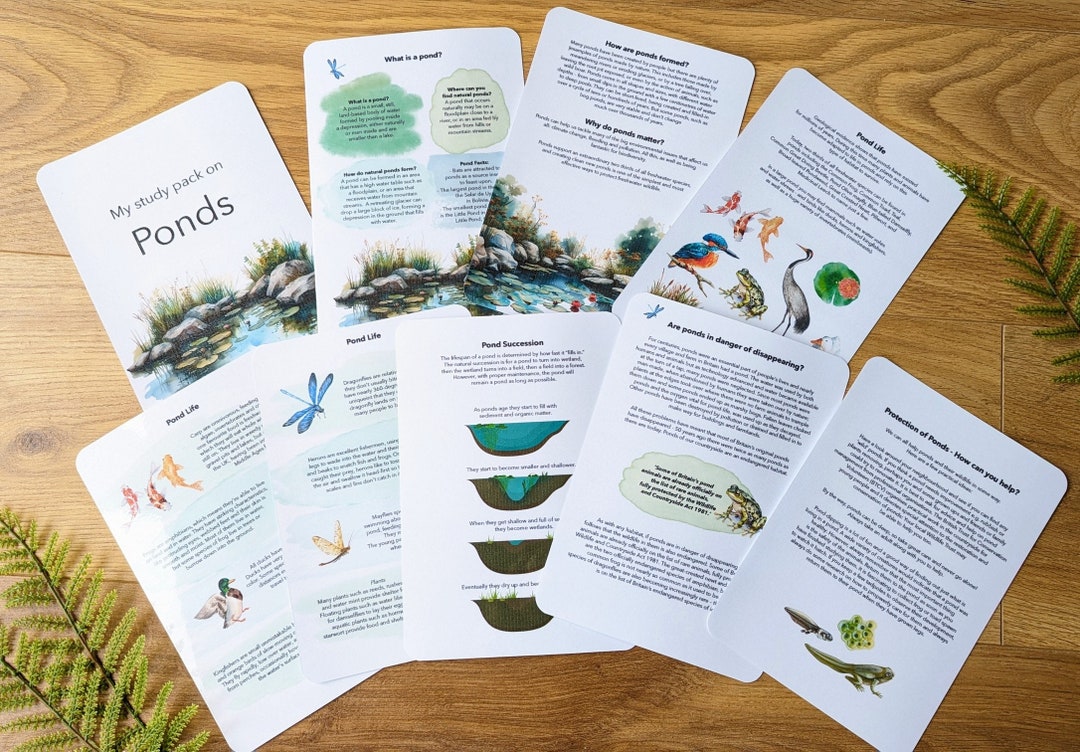 Pond Unit Study Pack - Instant Digital Download - Mini Beast Life ...