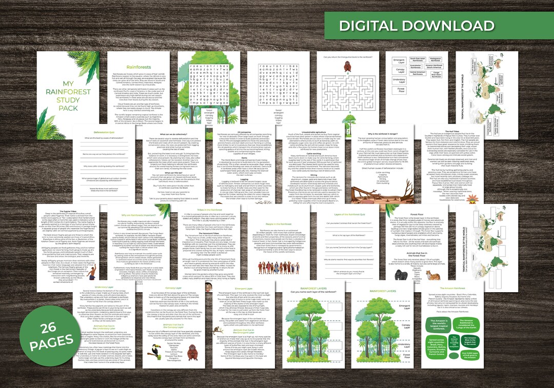 Rainforest Unit Study Learning Pack 26 Pages - Instant Digital Download ...