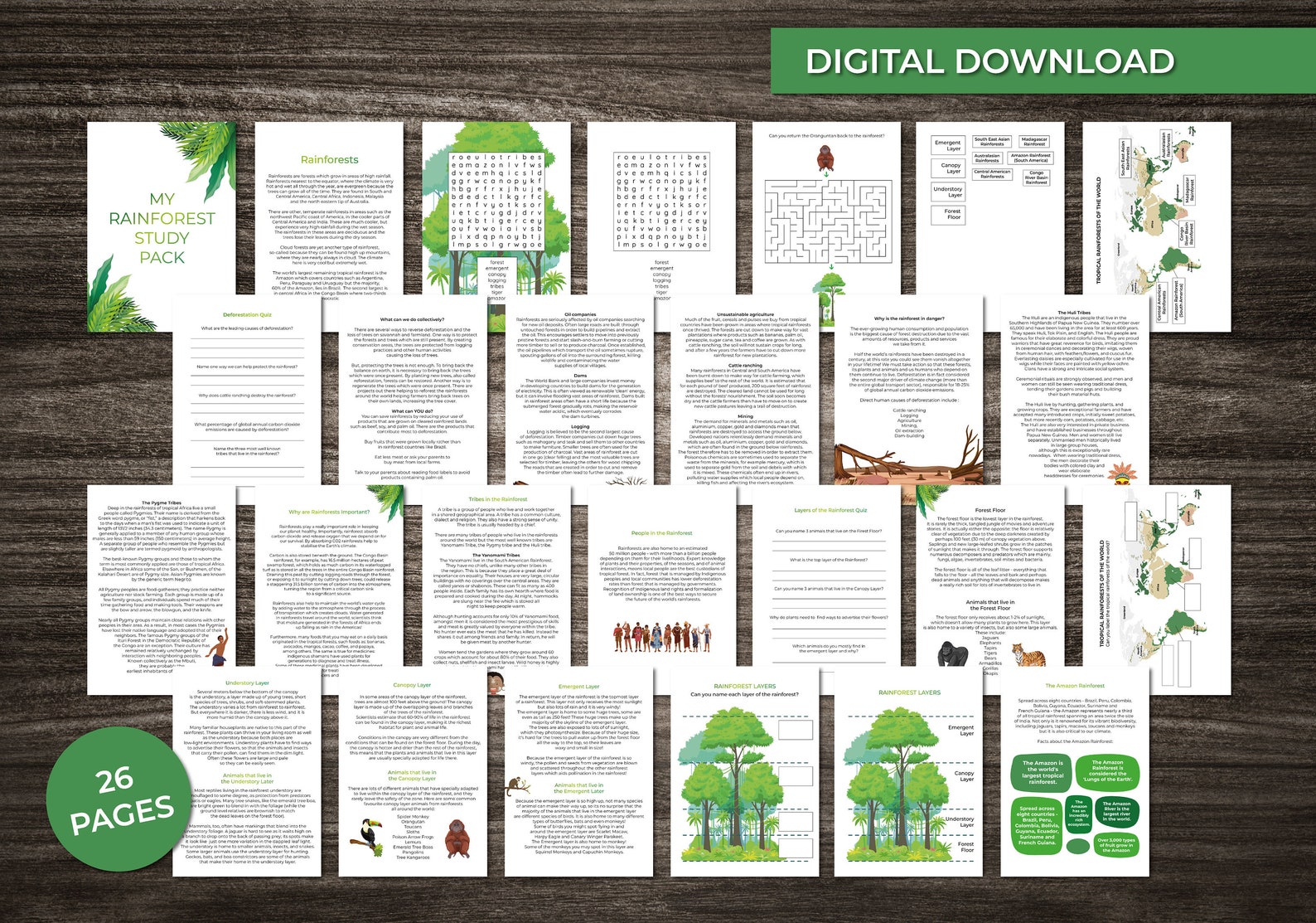 Rainforest Unit Study Learning Pack 26 Pages - Instant Digital Download ...