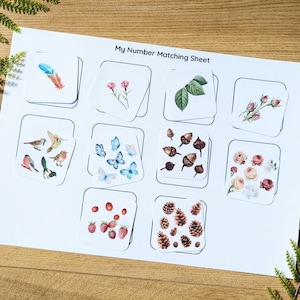 Nature Counting Activity Sheet: Forest School Learning Game (instant ...