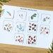 Nature Counting Activity Sheet: Forest School Learning Game (instant ...