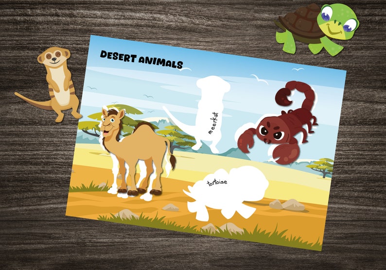 Habitat Matching Game Activity Pack - Kids Matching Game - Rainforest ...