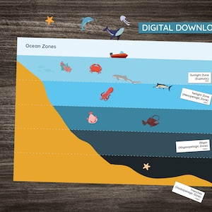Oceans Zones Learning Pack Educational Learning Geography Biology ...