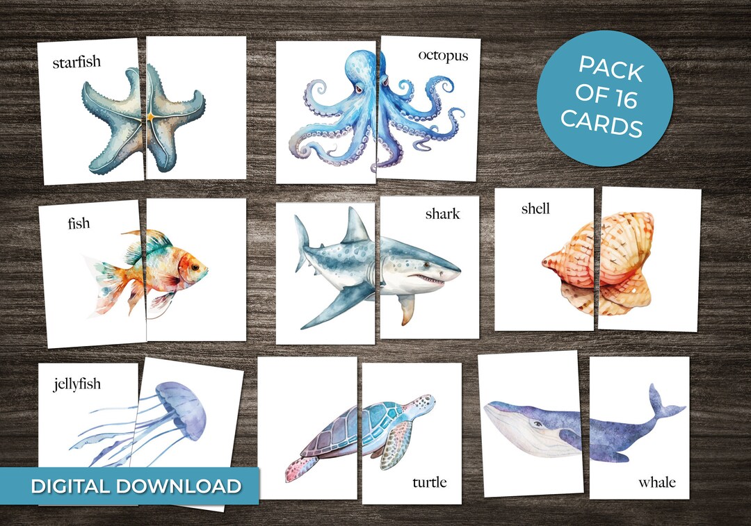 Sea Ocean Match Game Flash Cards for Kids Instant Digital Download ...