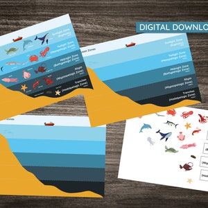 Ocean Zones Learning Pack: Educational Geography & Biology (digital ...
