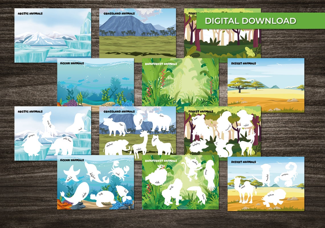 Habitat Matching Game Activity Pack - Kids Matching Game - Rainforest ...