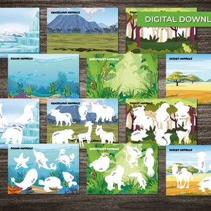 Habitat Matching Game Activity Pack - Kids Matching Game - Rainforest ...