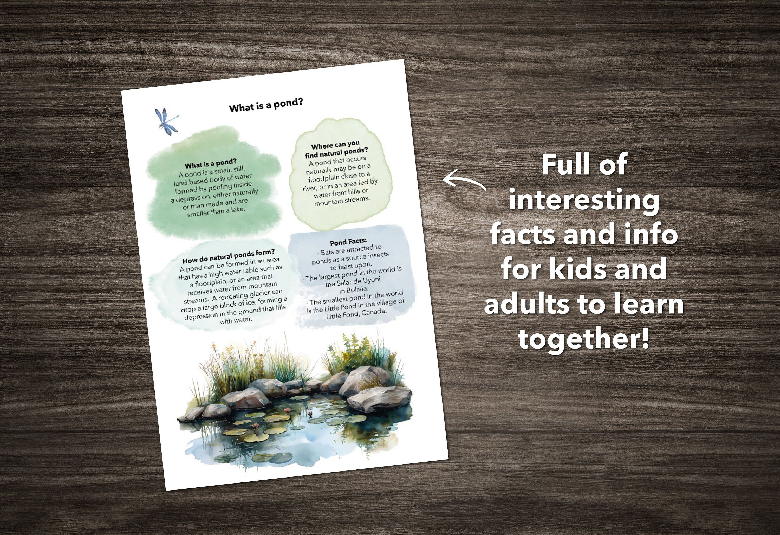 Pond Unit Study Pack Instant Digital Download Mini Beast Pond Life ...