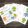 Habitat Matching Game Activity Pack - Kids Matching Game - Rainforest ...