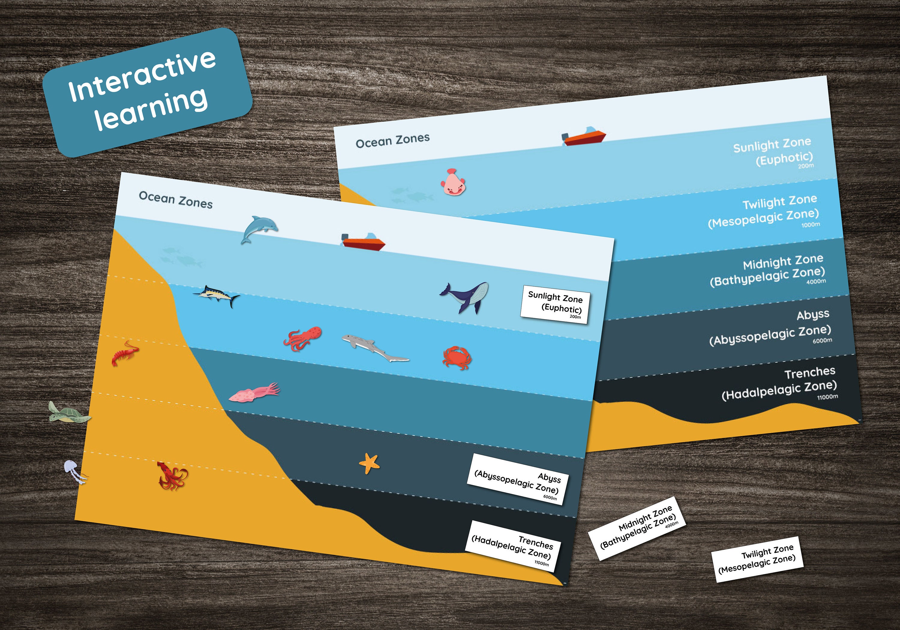 Oceans Unit Study Pack - Childrens Educational Learning Geography, Biology, Science - Instant ...