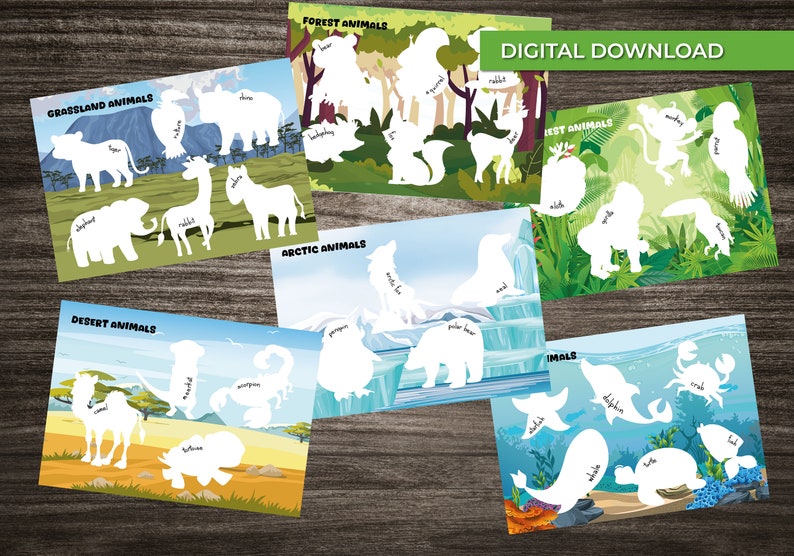 Habitat Matching Game Activity Pack - Kids Matching Game - Rainforest ...