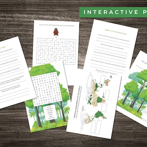 Rainforest Unit Study Learning Pack 26 Pages - Instant Digital Download ...