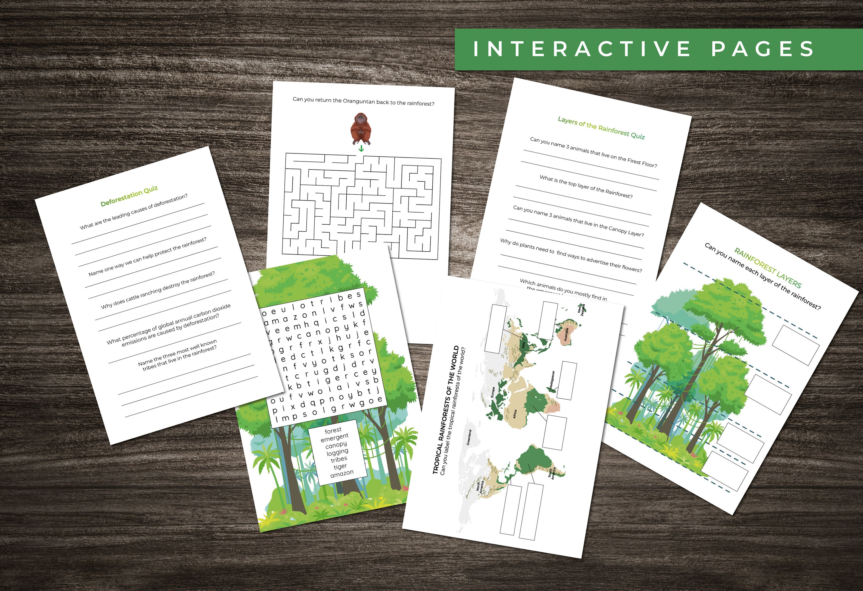 Rainforest Unit Study Learning Pack 26 Pages - Instant Digital Download ...