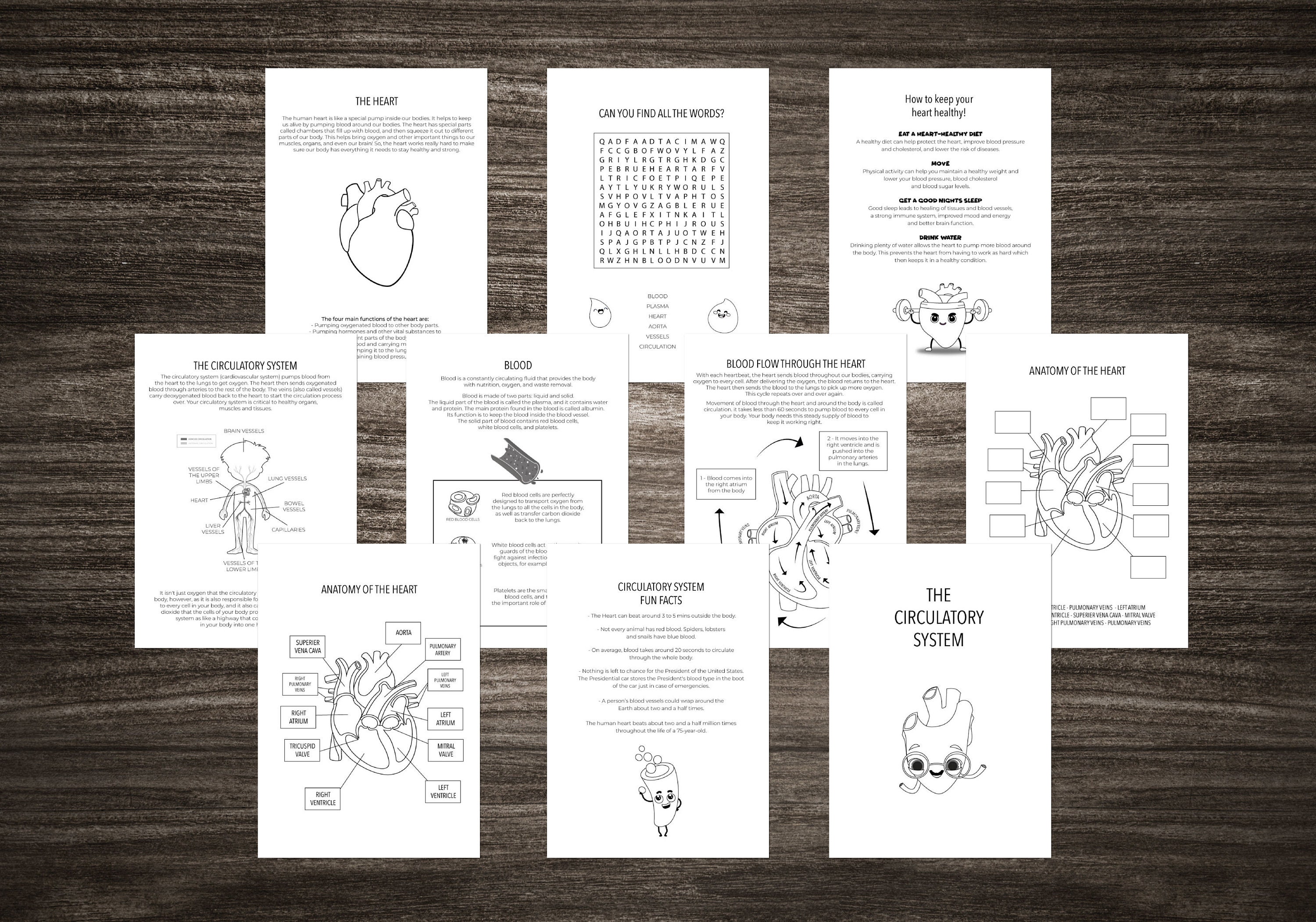 Heart Circulatory System Unit Study Pack Biology Science Digital ...
