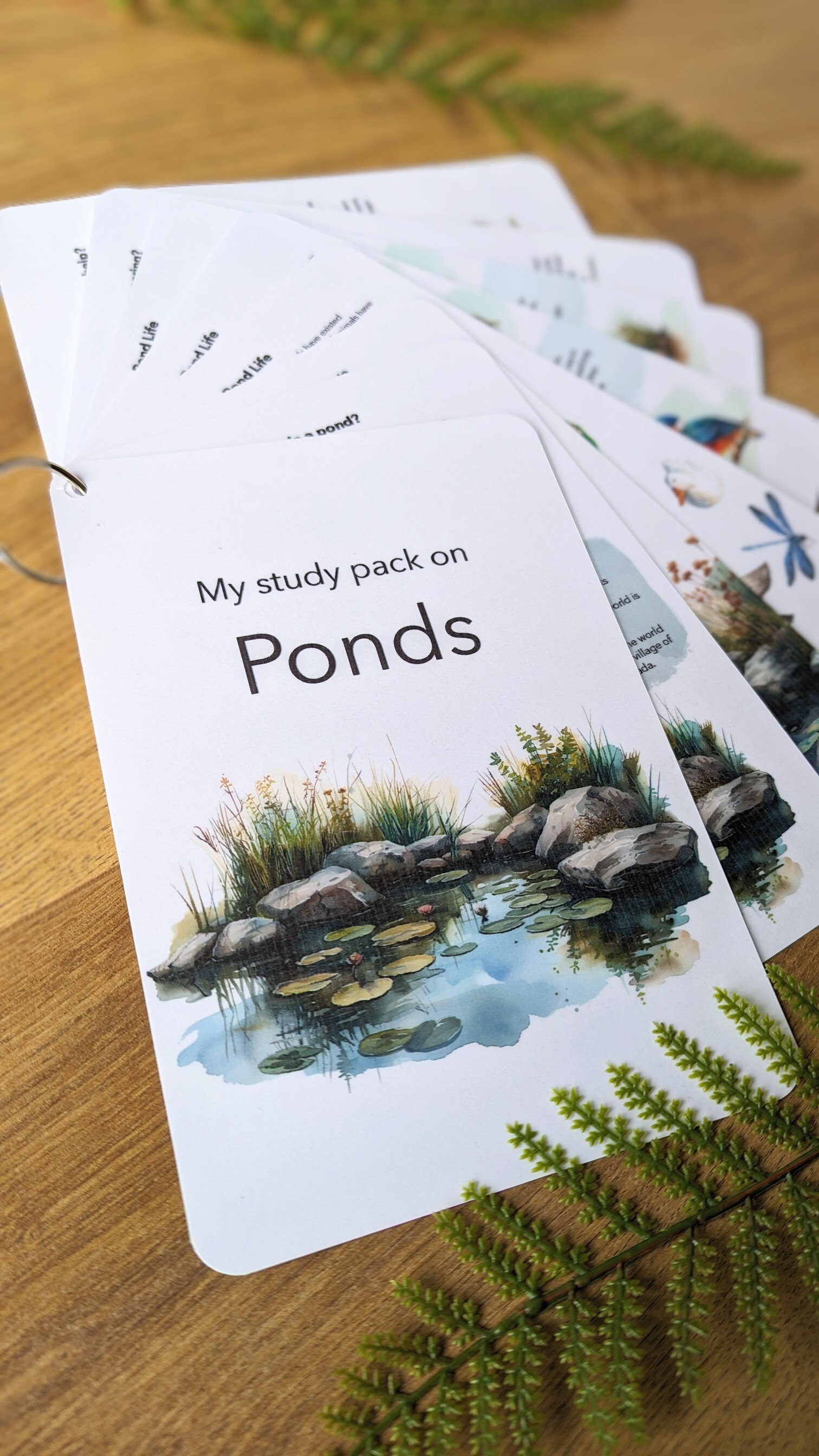 Pond Unit Study Pack Instant Digital Download Mini Beast Pond Life ...