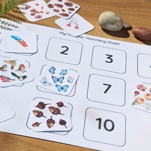Nature Counting Activity Educational Learning Game Sheet- Instant ...