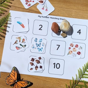 Nature Counting Activity Educational Learning Game Sheet- Instant ...