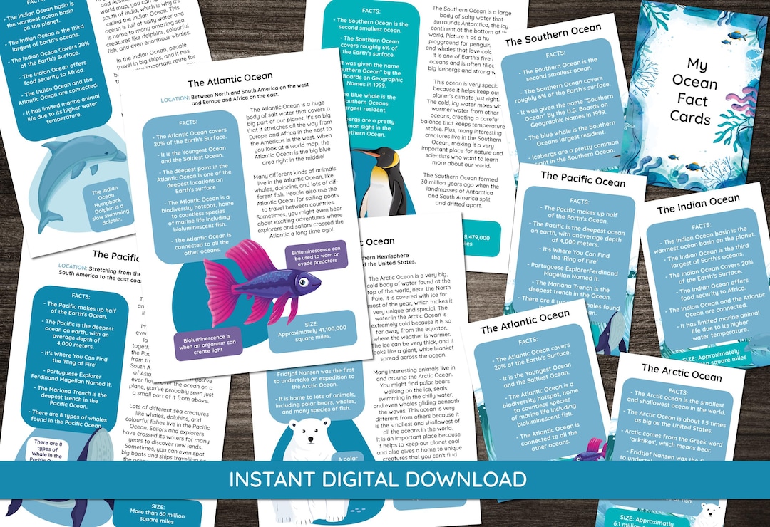Ocean Flash Cards and Posters Sheets - Fun Facts and Info - Educational ...