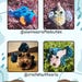 Mudskipper Crochet Pattern - Etsy
