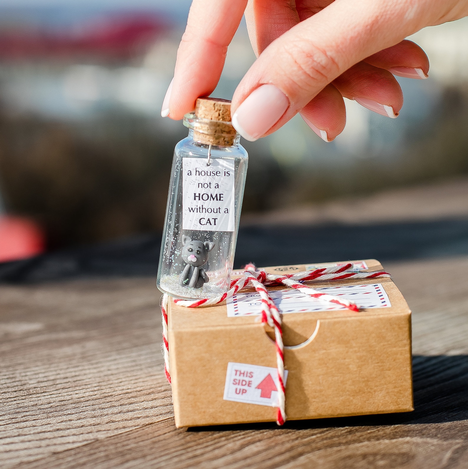 Personalized Cat Owner Gift Miniature Grey Cat Cat Lover - Etsy