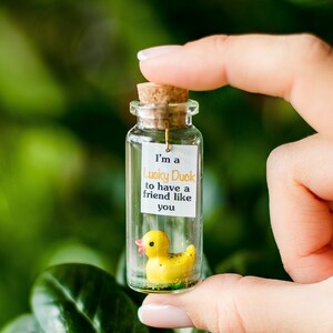 Best Friend Birthday Gift Miniature Rubber Duck Friendship Gifts Farm ...