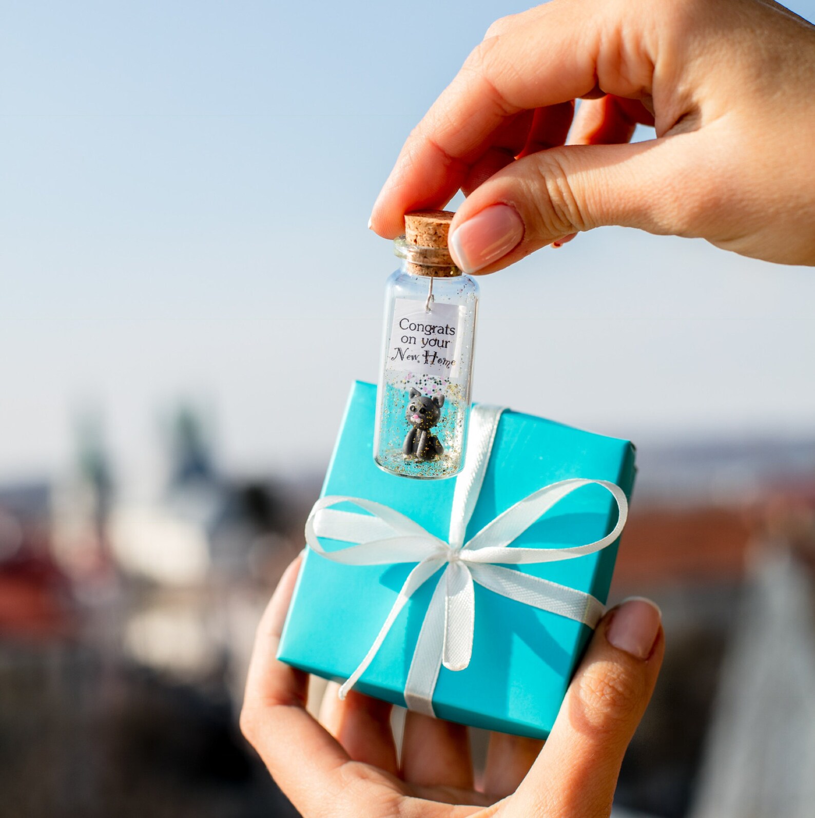 Personalized Cat Owner Gift Miniature Grey Cat Cat Lover - Etsy