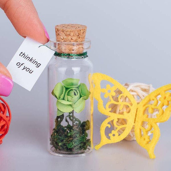 Unusual Gifts - 60+ Gift Ideas for 2025