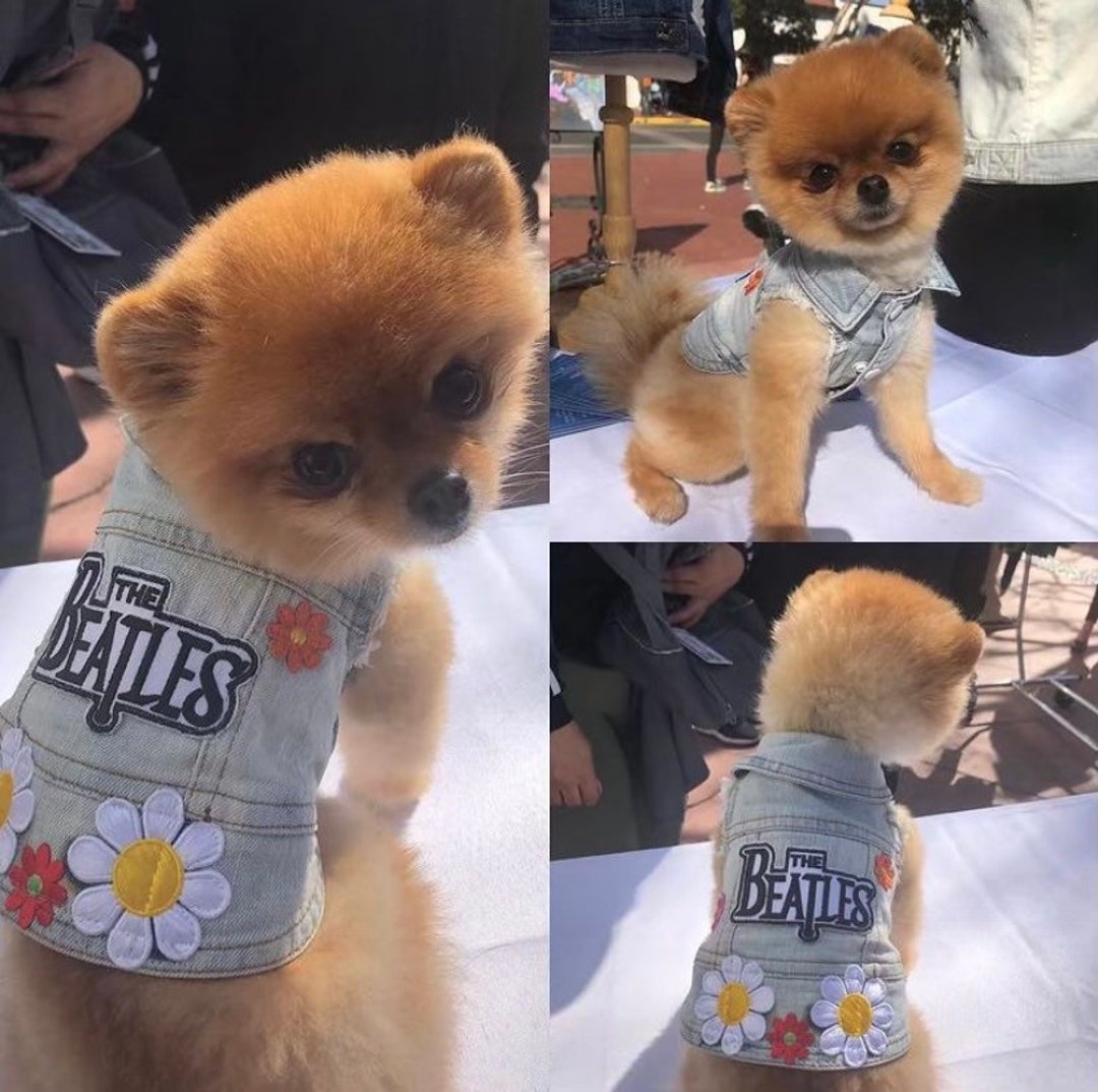 The Beatles Denim Pet Jackets - Etsy