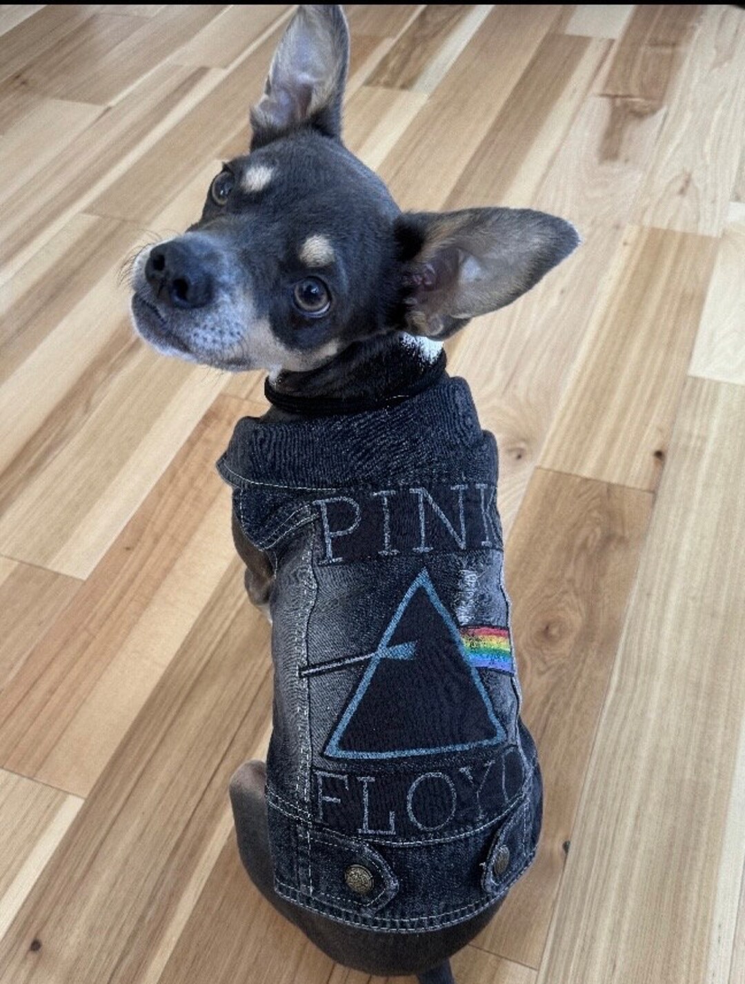 Pink Floyd Denim Pet Jackets - Etsy