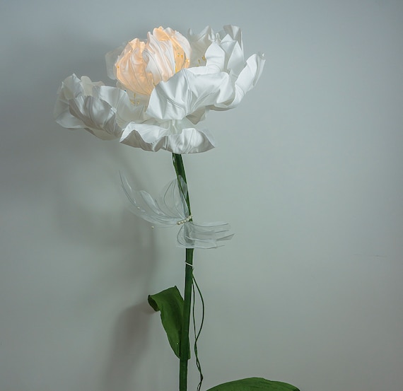 Photos Inside Of Stem Flowers