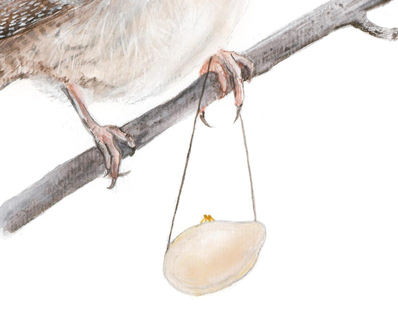 Art Print No.10 - "house Wren With Fancy Hat" - Etsy