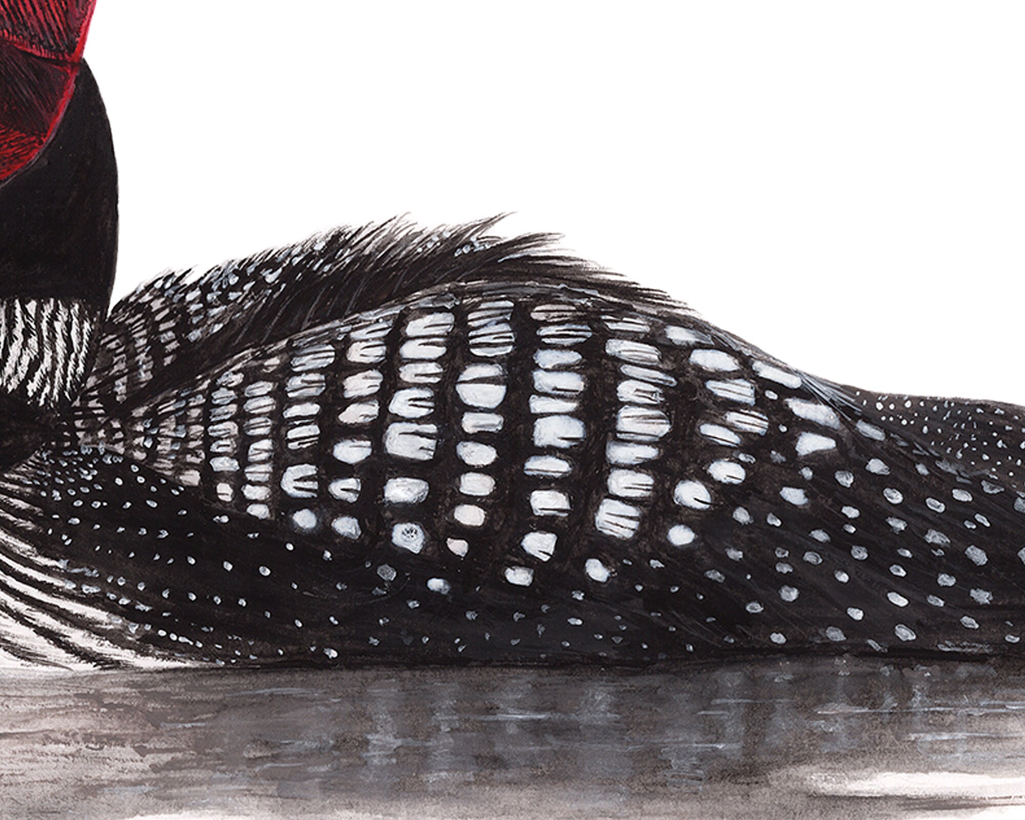 Art Print No.24 - "common Loon With Flap Cap" - Etsy