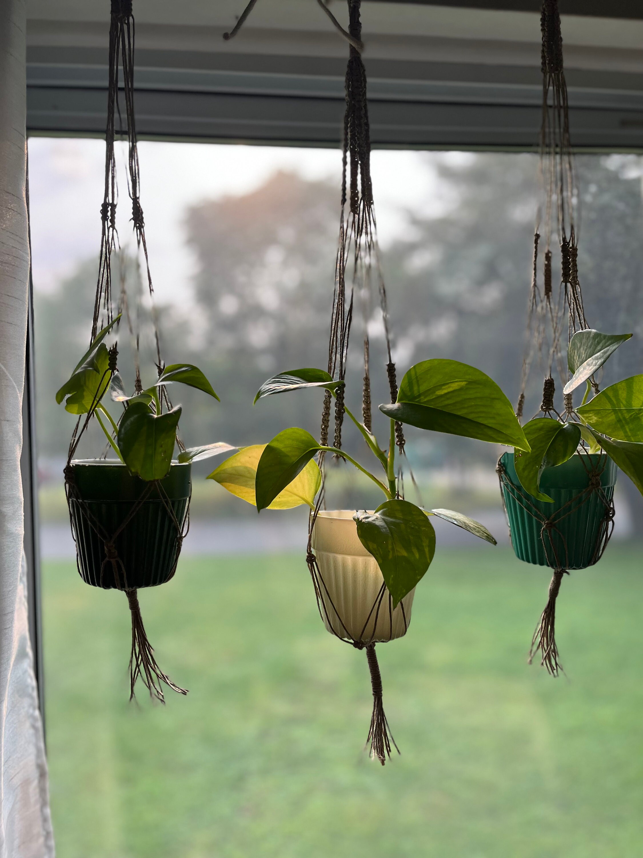 Vintage Hazel Atlas Pot With Macrame Hanger - Etsy