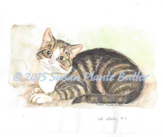 Cat Study # 3 - Etsy