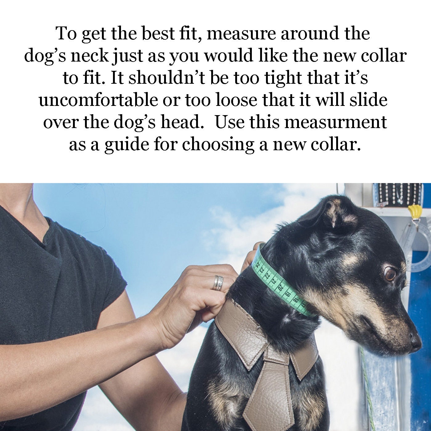 Are Dog Collars Uncomfortable