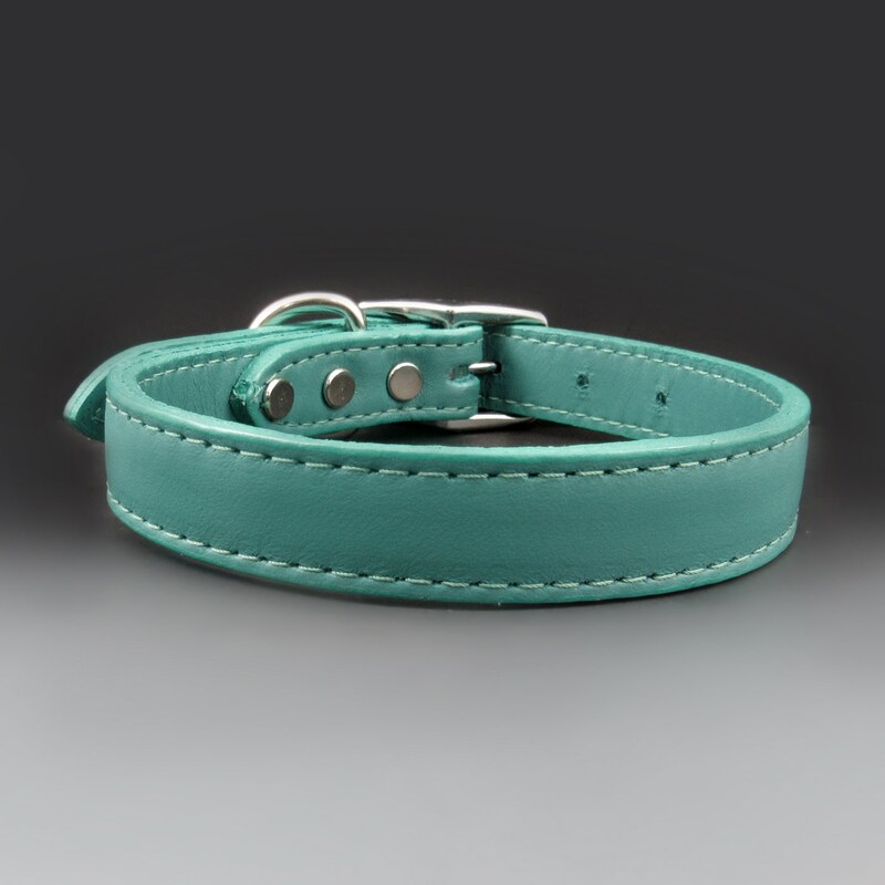 Turquoise Dog Collar - Etsy