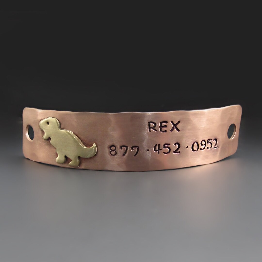 Personalized T-rex Dinosaur Dog Tag, Dino Noiseless Pet ID Tag, Custom ...