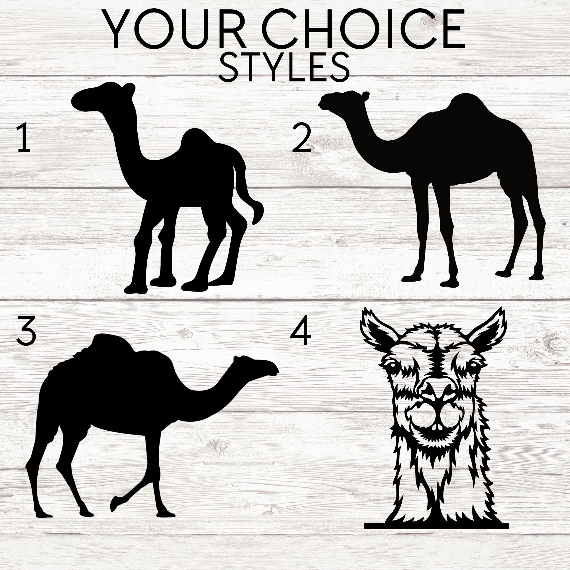 Camel Vinyl Decal - Etsy