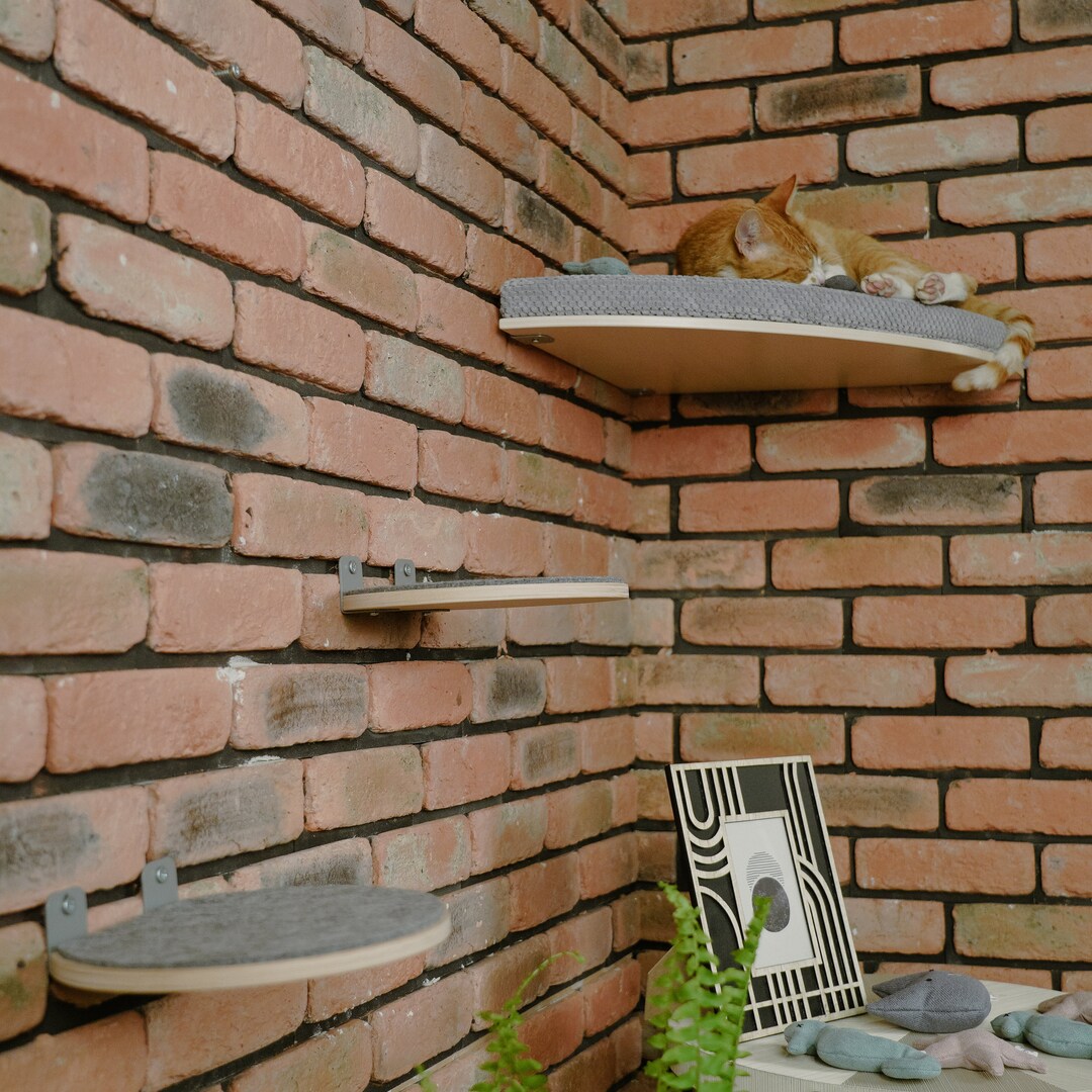 Cat Wall Furniture Bundle ~ Corner Cat Perch + 2 Round Wood Cat Steps ...