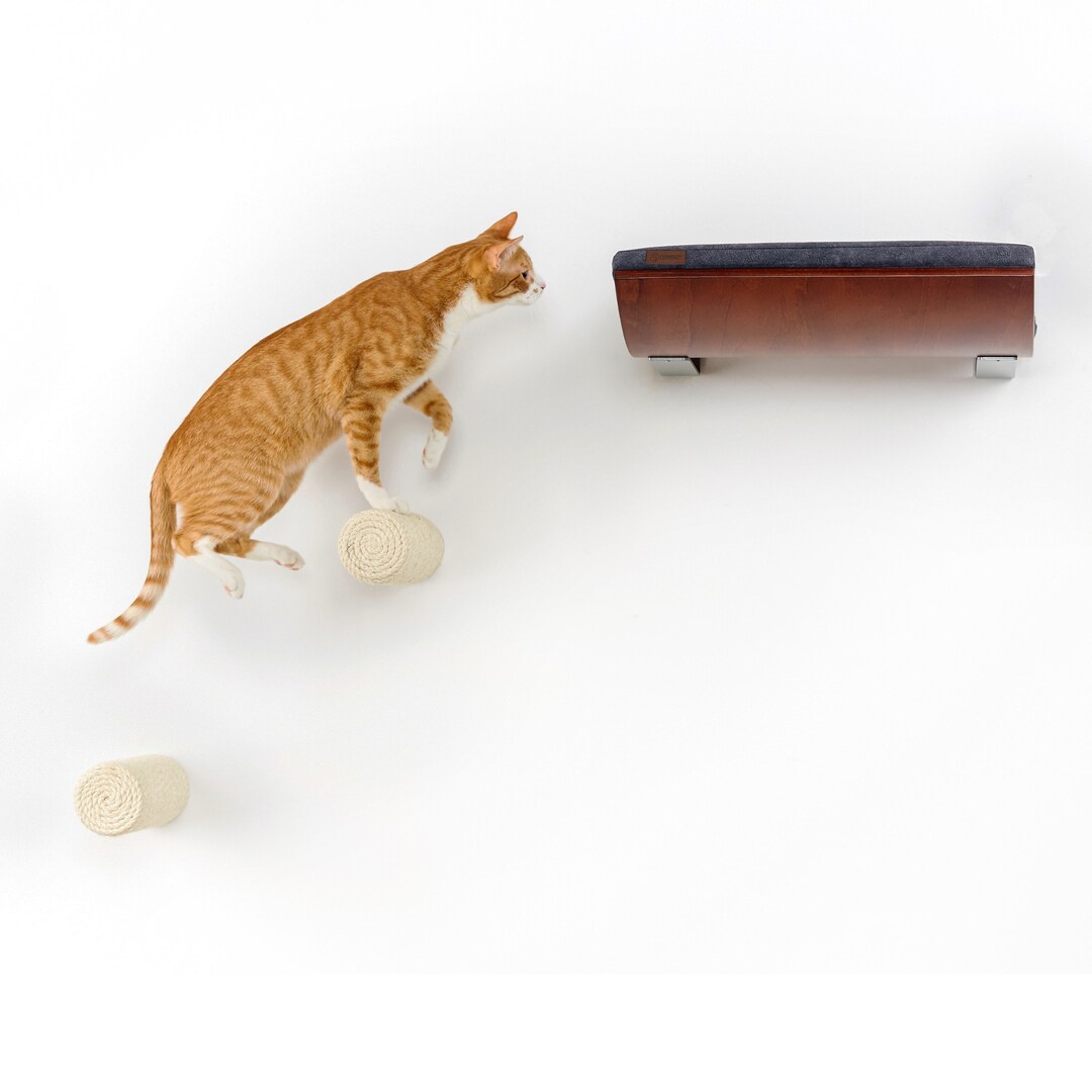 Cat Steps for Wall, Cat Climbing Wall Stairs, Cat Wall Furniture, Wall ...