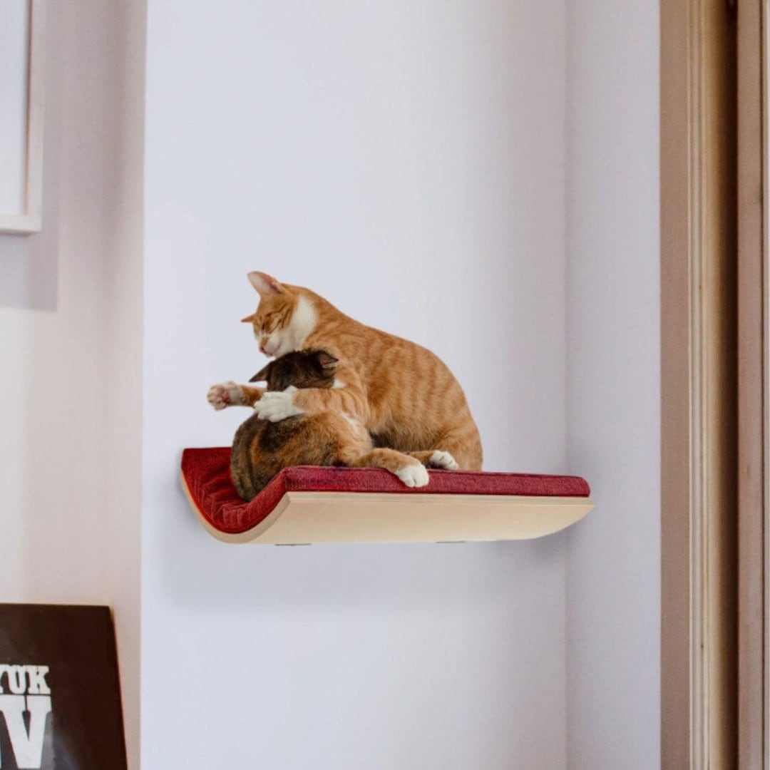 Curved Cat Shelves by Cosyanddozy ~ Maine Coon Cat Wall Furniture - Cat ...