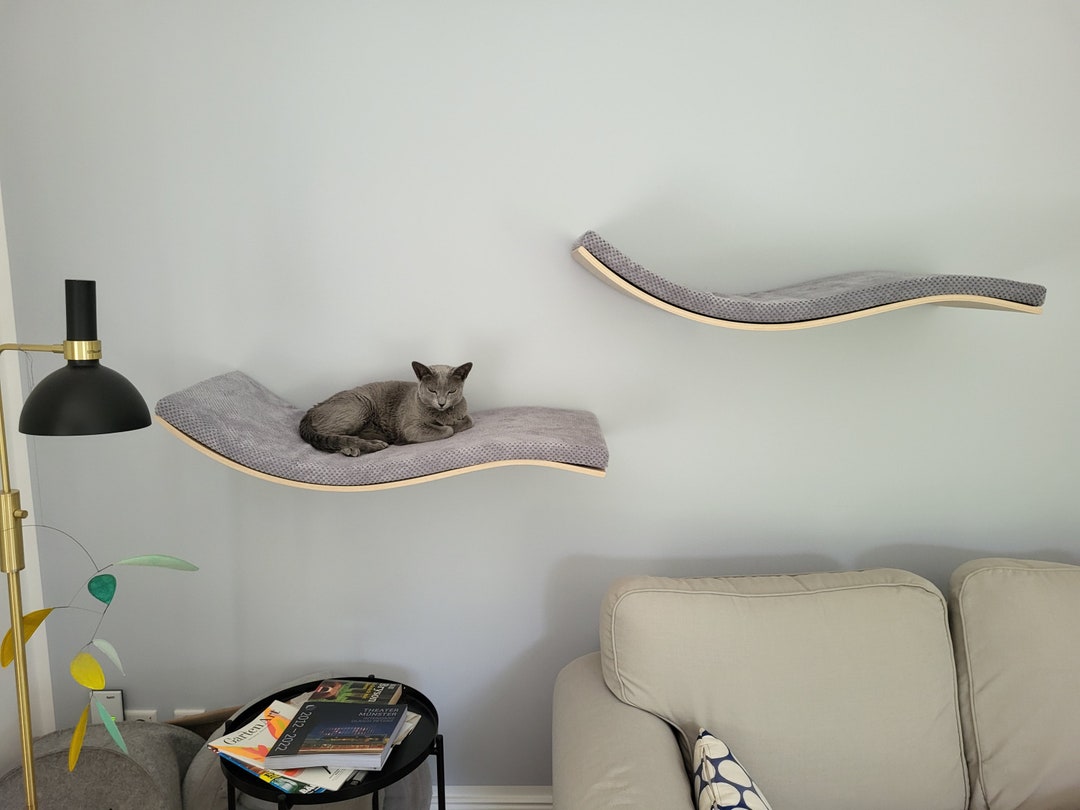 Cat Shelves for Large Cats Set of 2, Cat Wall Furniture, Cat Window ...